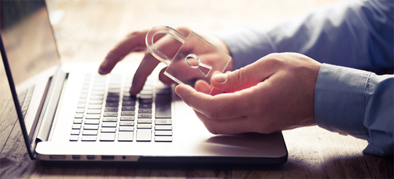 Ensuring Privacy for the Public Sector: A Guide to Keeping Hackers at ...